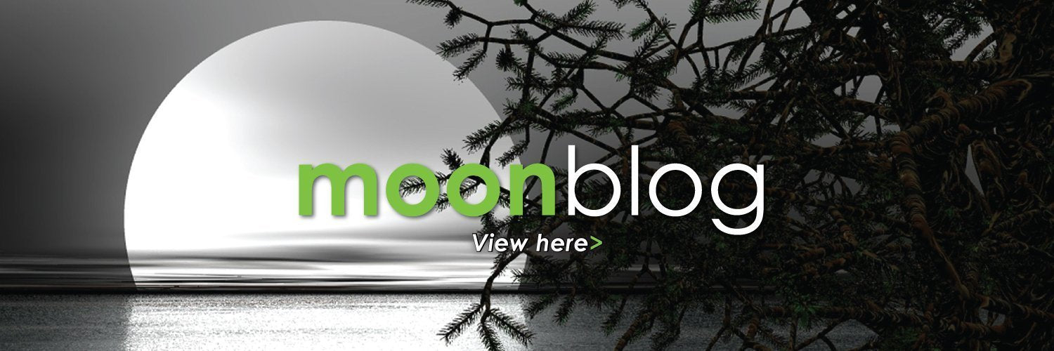 'FALL' in Love with Our 2 New Pieces... – Moonglow New Zealand